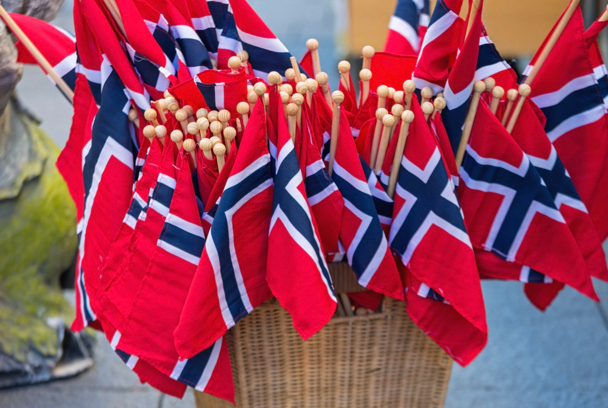 Discovering the Sons of Norway: Embracing Heritage and Community – The ...
