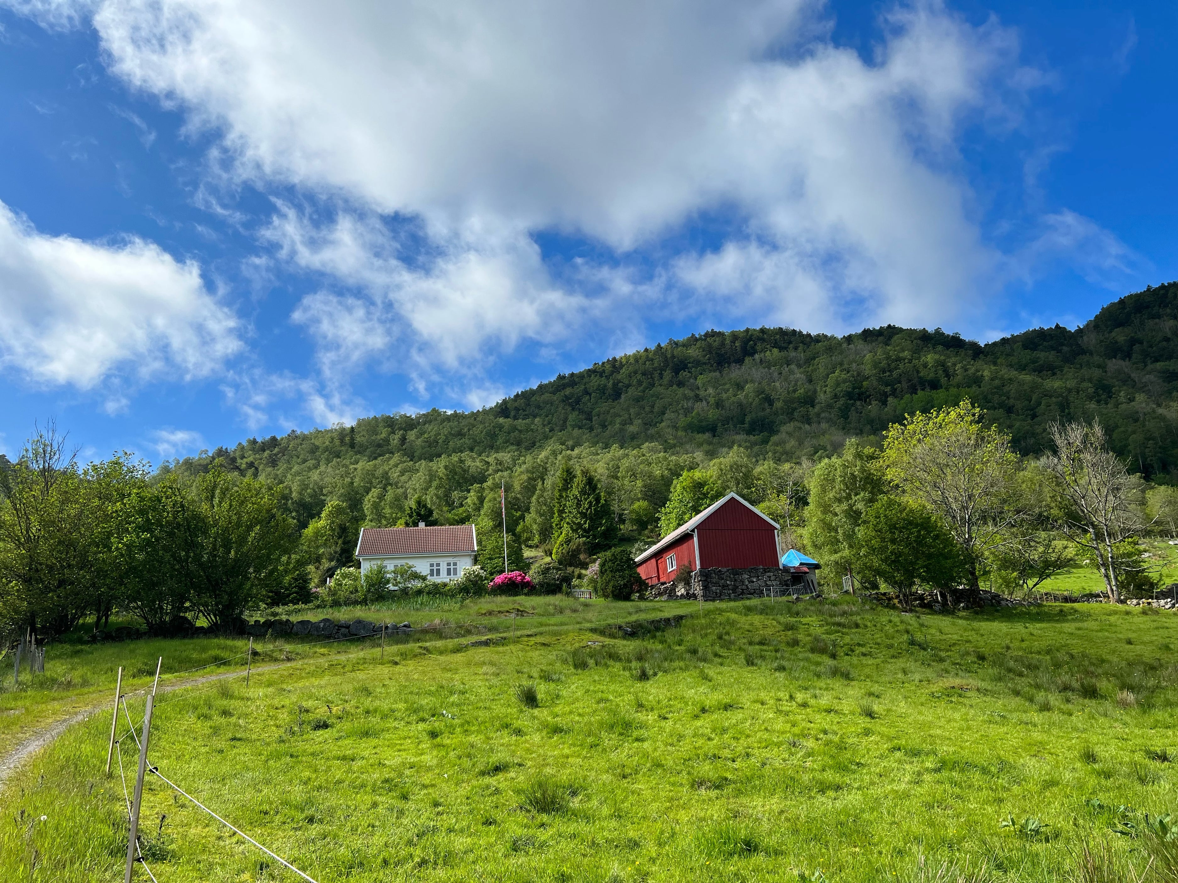 The Uff Da Sisters | Our Story - Norwegian Heritage